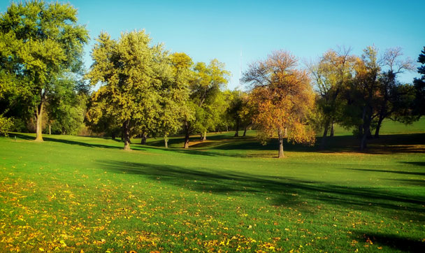 Home - Delanco Township, New Jersey